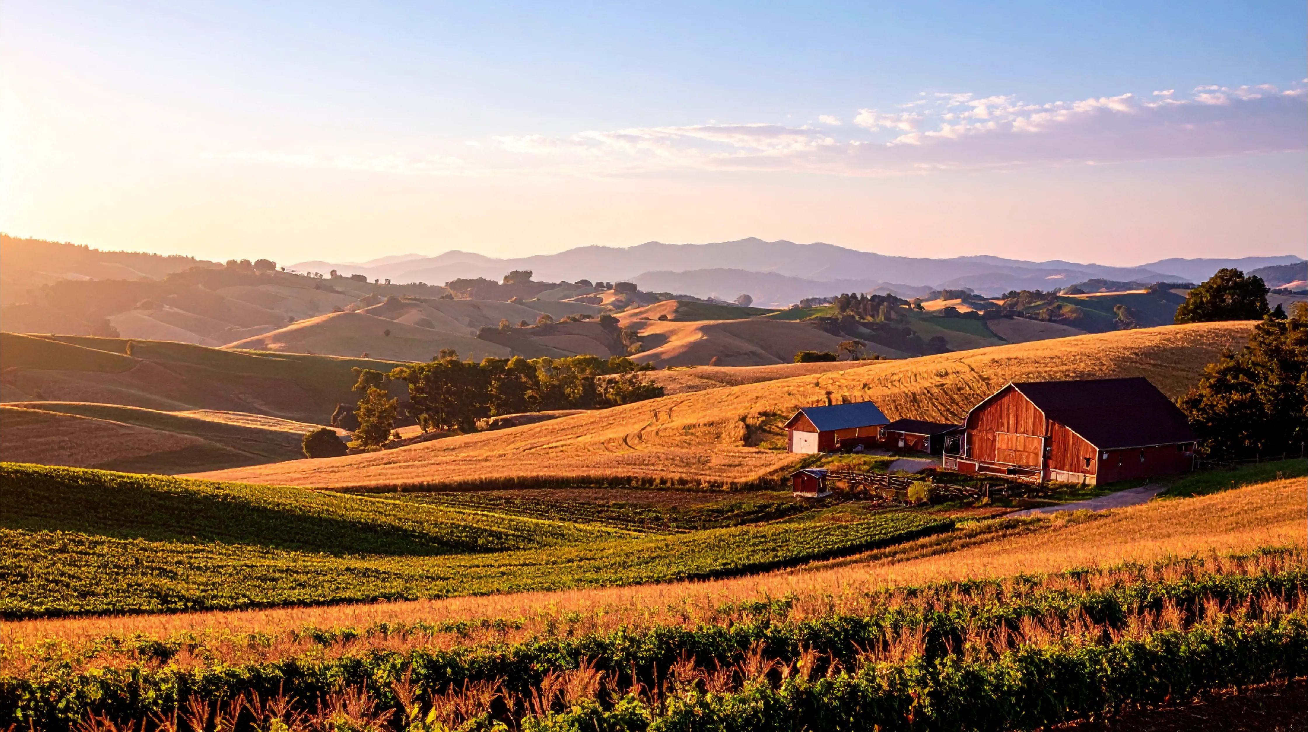 Medicare for Rural Communities: Reaching Underserved Populations